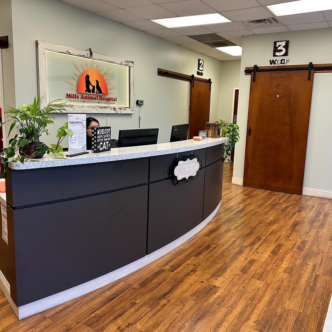 Our History | Mills Animal Hospital